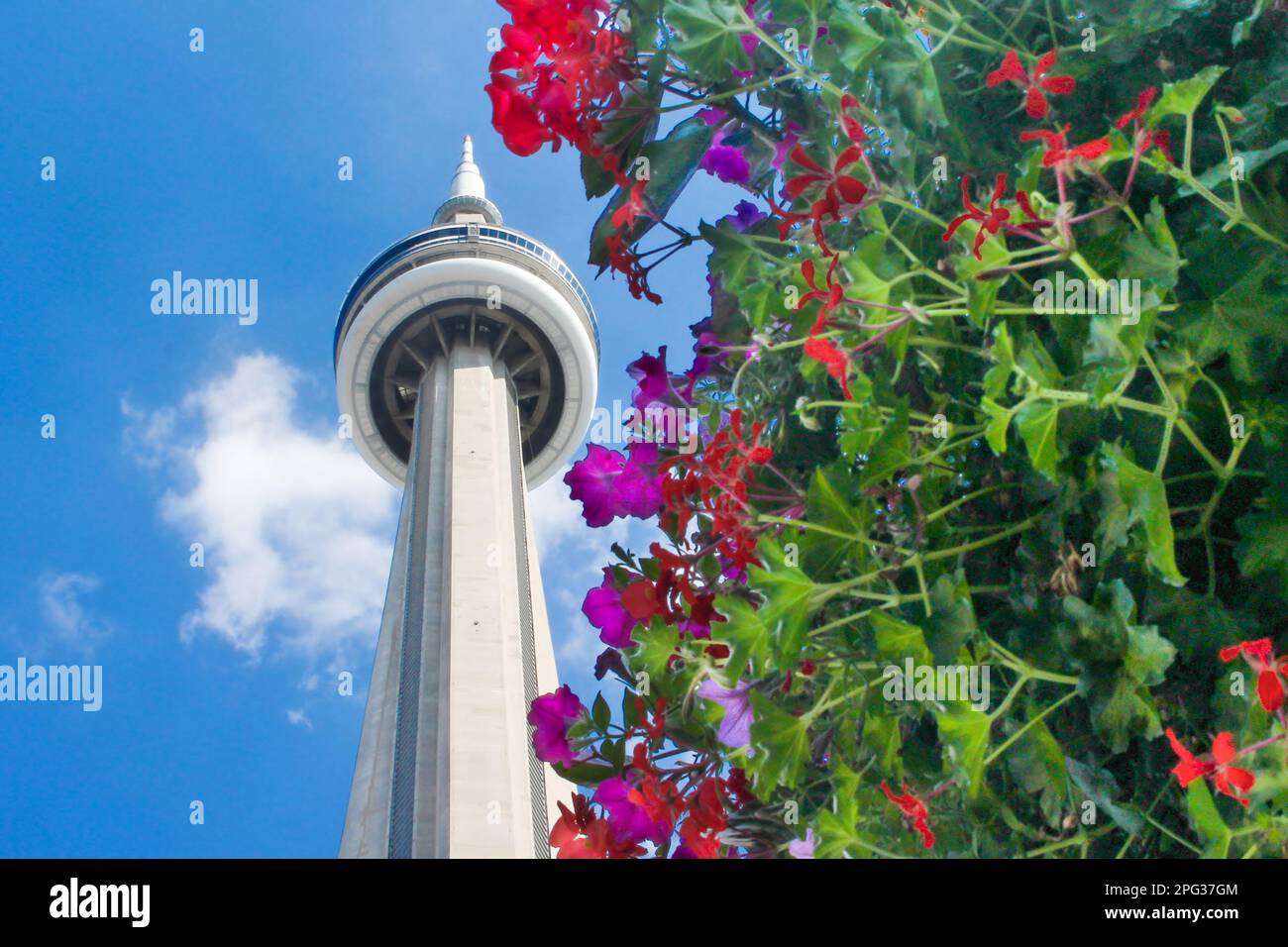 Cn tower toronto observation deck hi-res stock photography and images ...