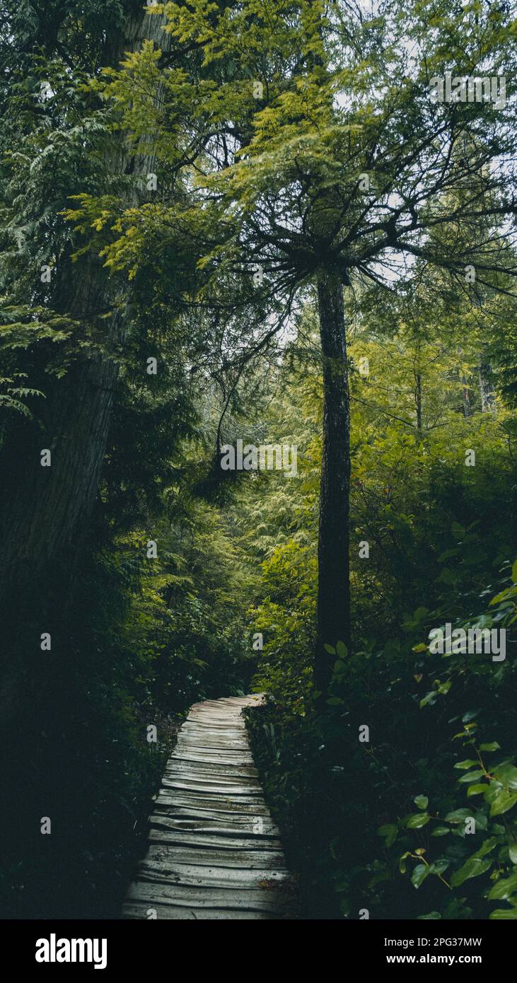 Professional pathway hi-res stock photography and images - Alamy