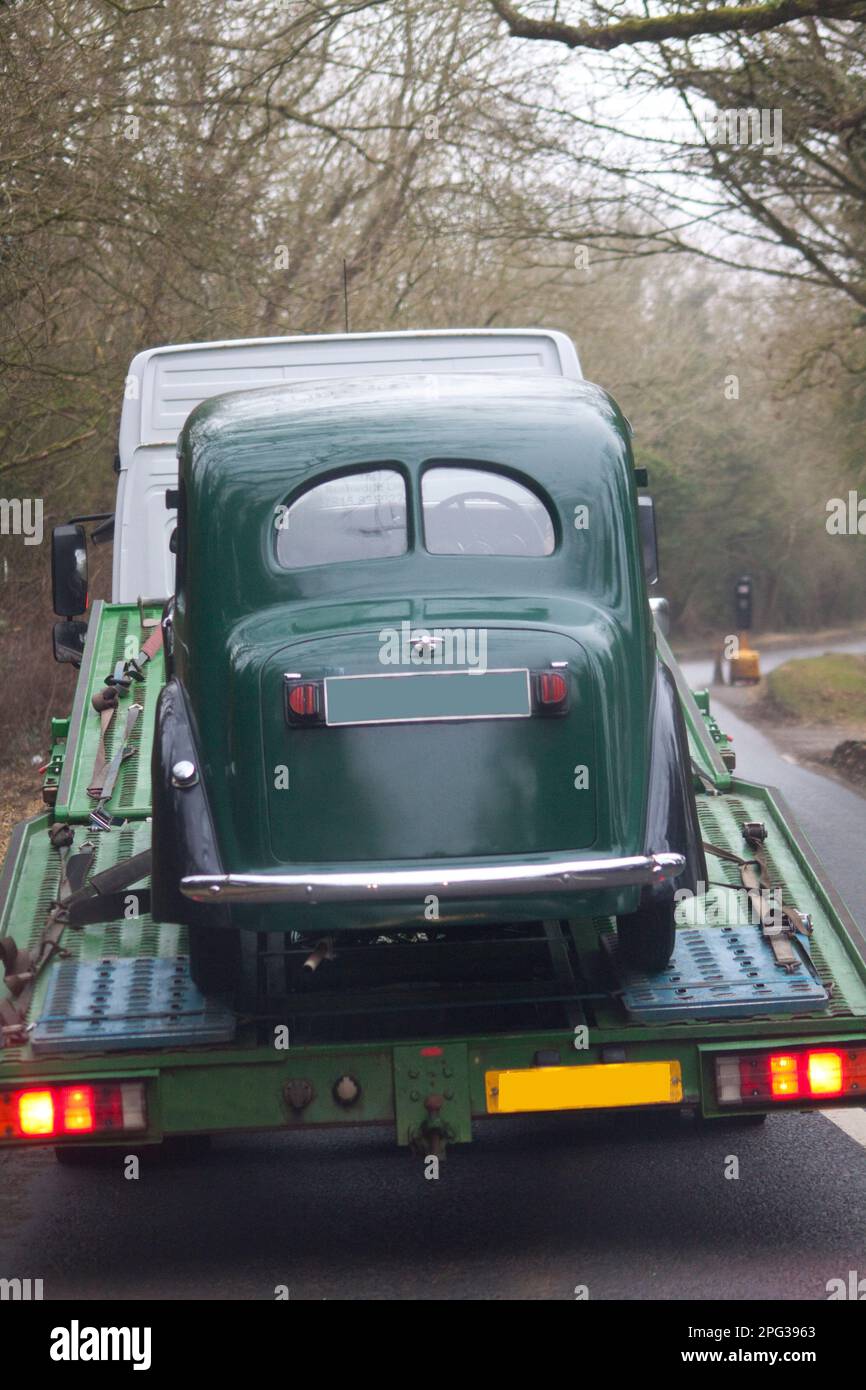 Trees transported by lorry hi-res stock photography and images - Alamy