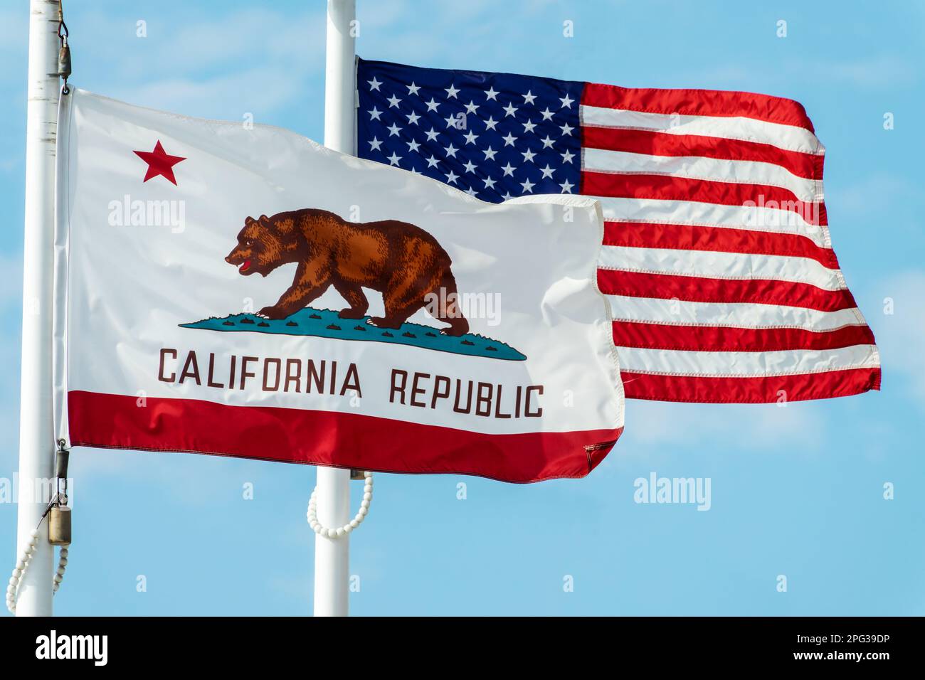 California Republic bear flag and US american flags floating on poles ...
