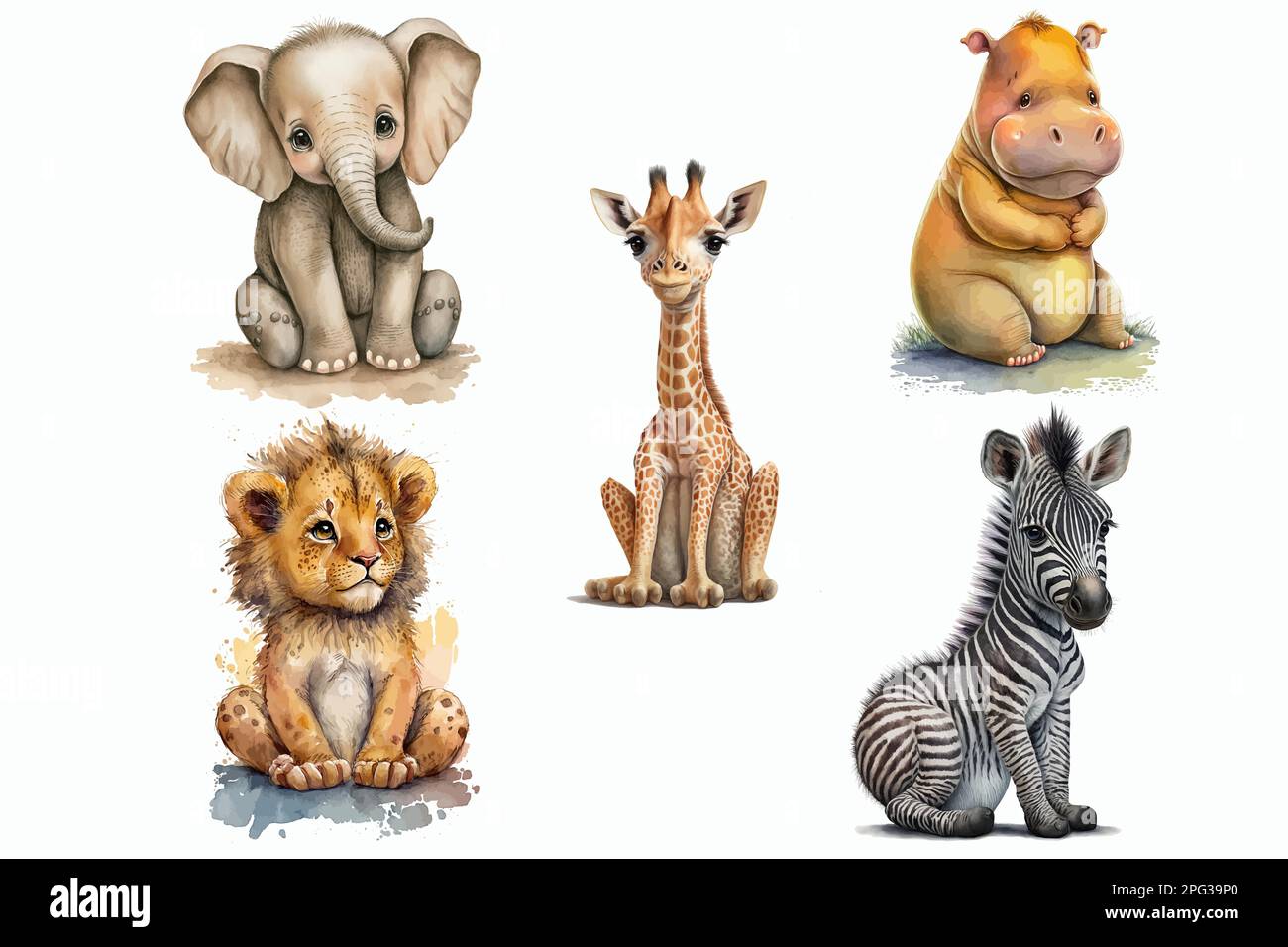 Zebra Animal Clipart