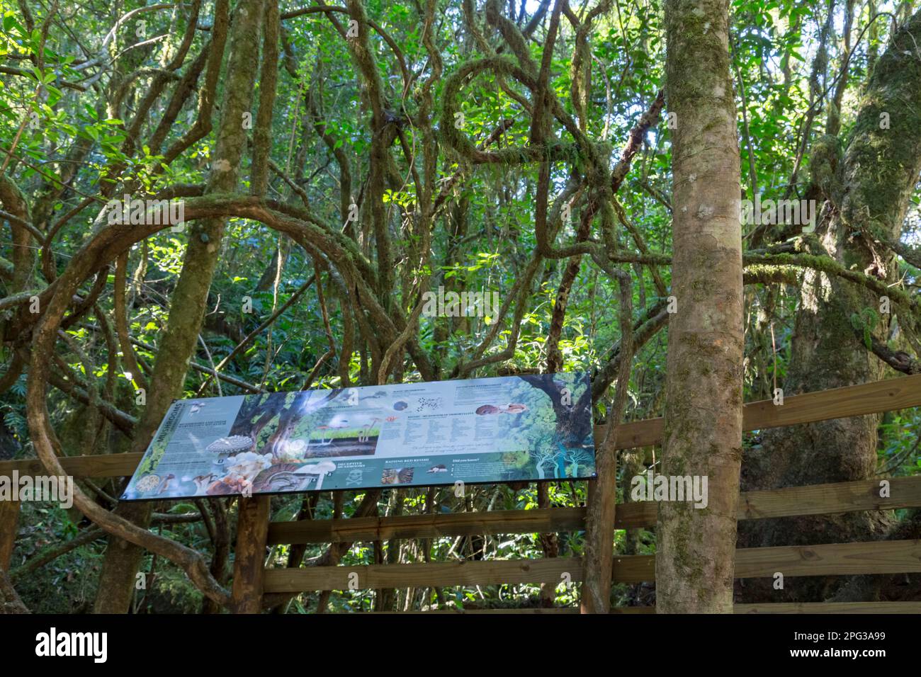 Visitors information board in the Graskop gorge Stock Photo - Alamy