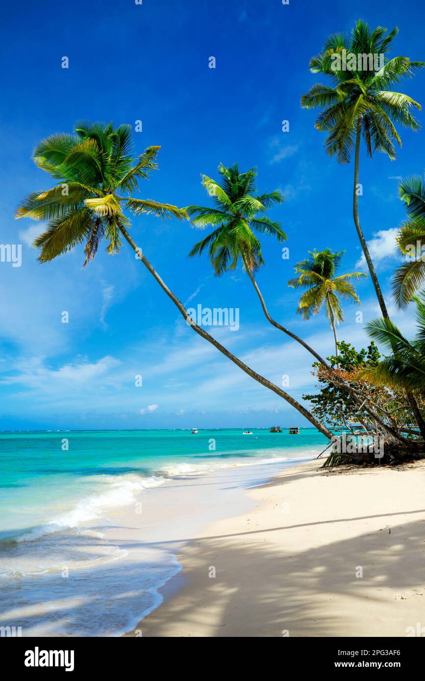 Pigeon Point Tropical Beach, Tobago, Republic of Trinidad and Tobago ...