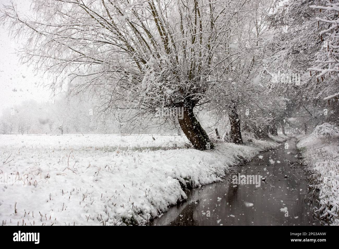 Nice winterwalk through a little German nature reserve, Lower Rhine ...