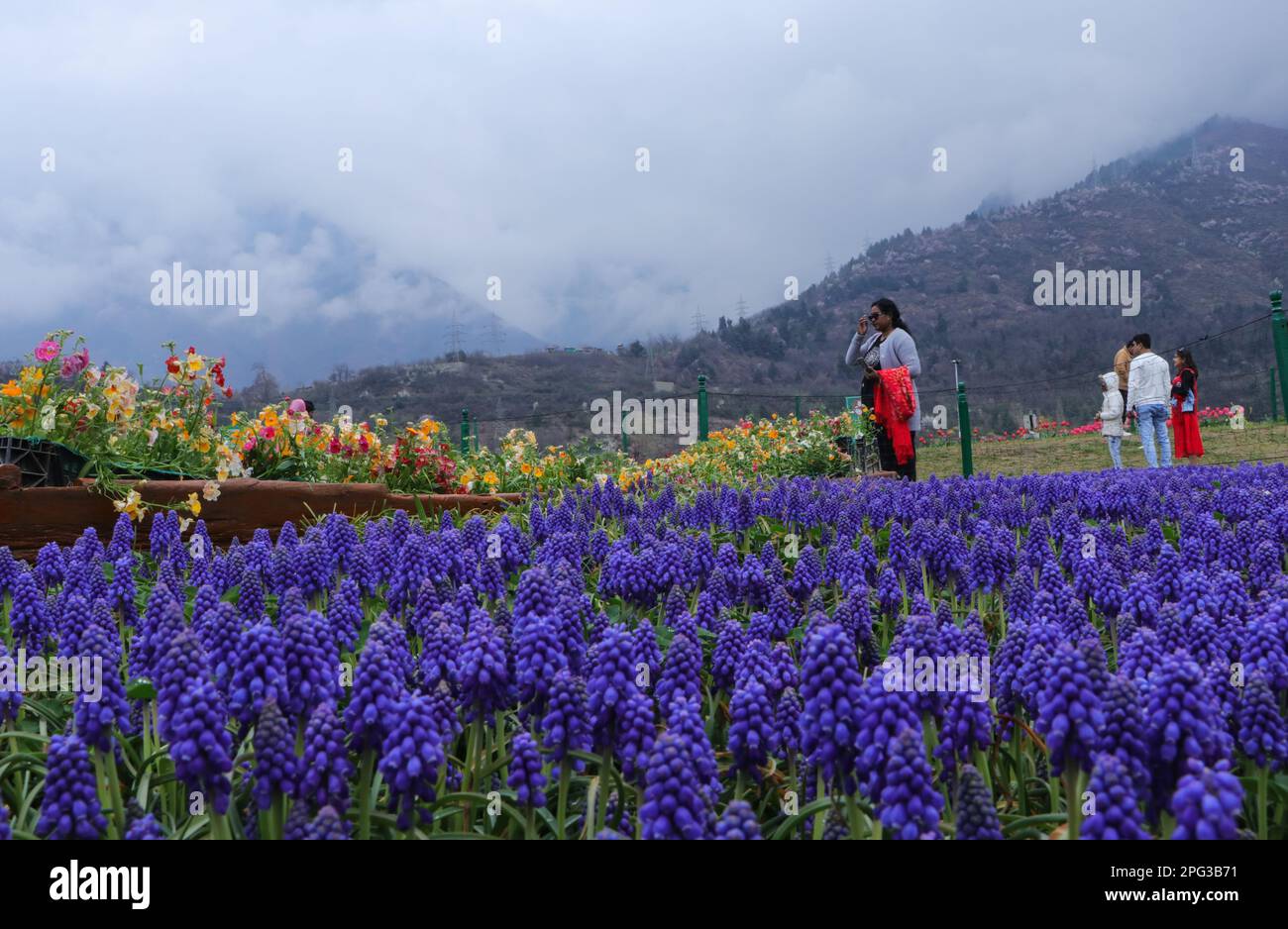 March 20, 2023, Srinagar, Jammu and Kashmir, India: Tourists enjoy ...