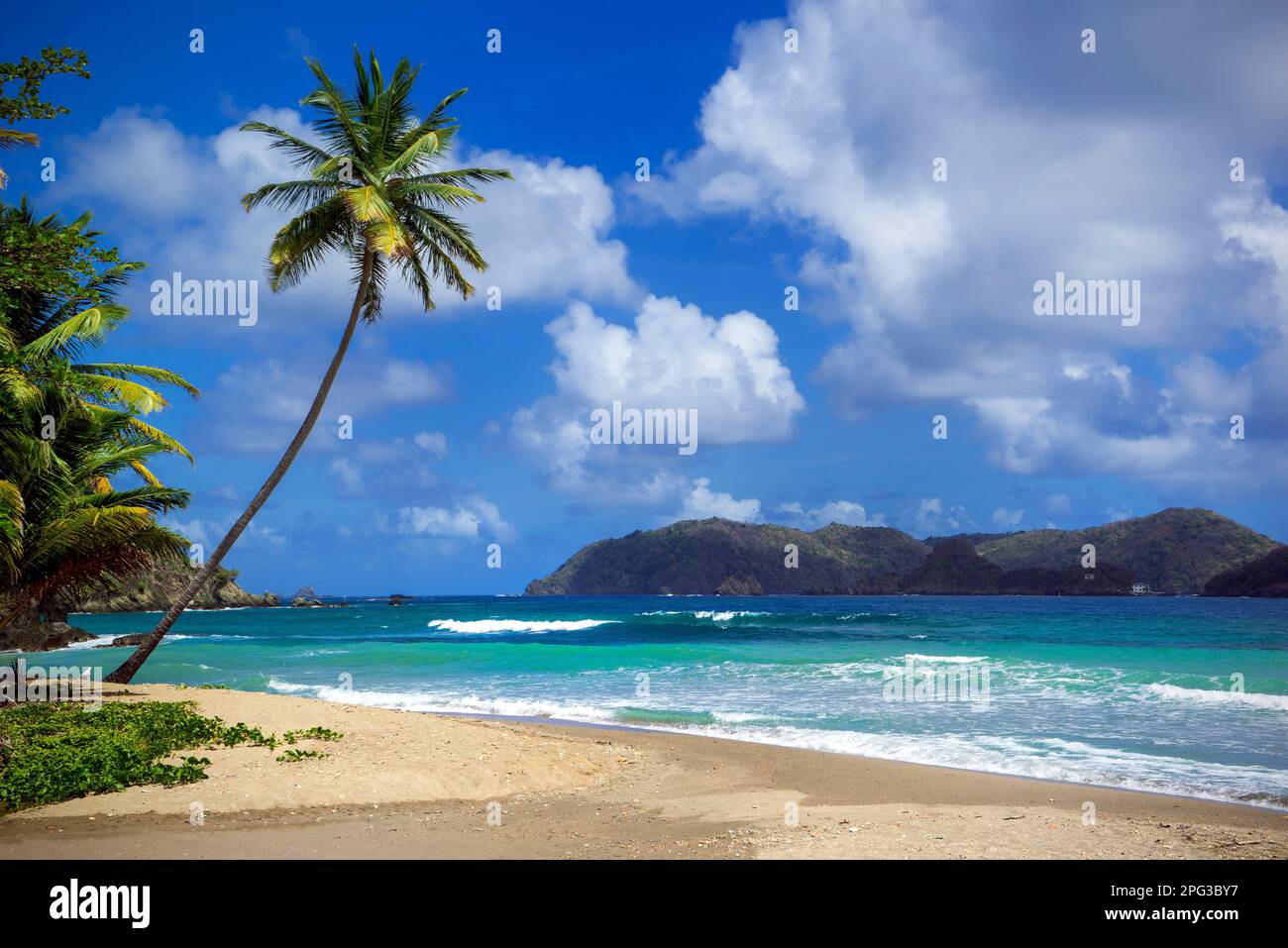 Beach in Charlotteville, Tobago,Republic of Trinidad and Tobago ...