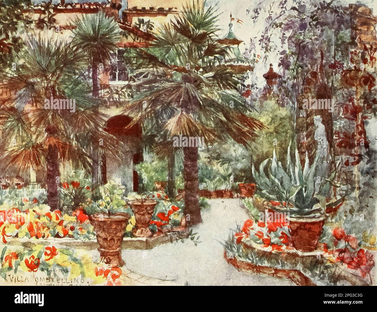 Tulips and Wistaria in Spring-time, in the Garden of a Florentine Villa ...