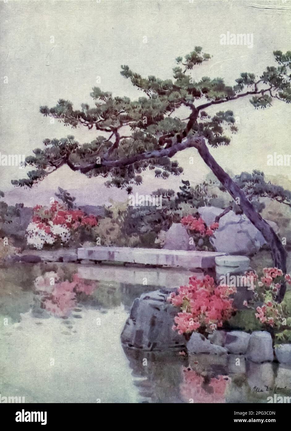 Azaleas in a Kyoto Garden painted by Ella Du Cane from the book ' The ...