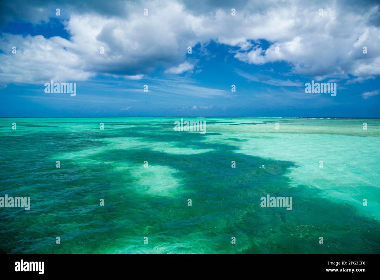 Buccoo Reef, Tobago,Republic of Trinidad and Tobago, Southern Caribbean ...