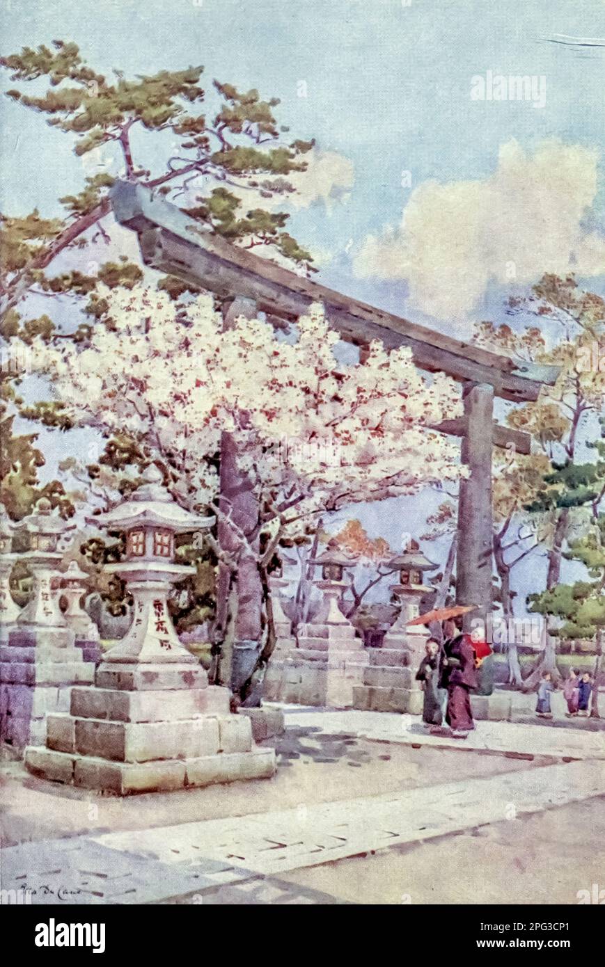 WHITE CHERRY AT KITANO painted by Ella Du Cane from the book ' The ...