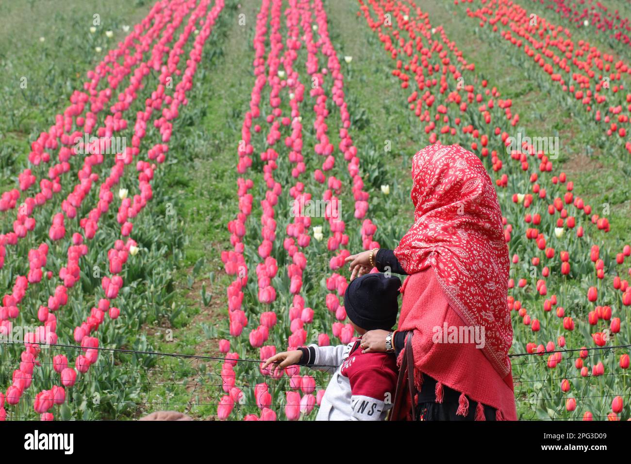 March 20, 2023, Srinagar, Jammu and Kashmir, India: Tourists enjoy ...