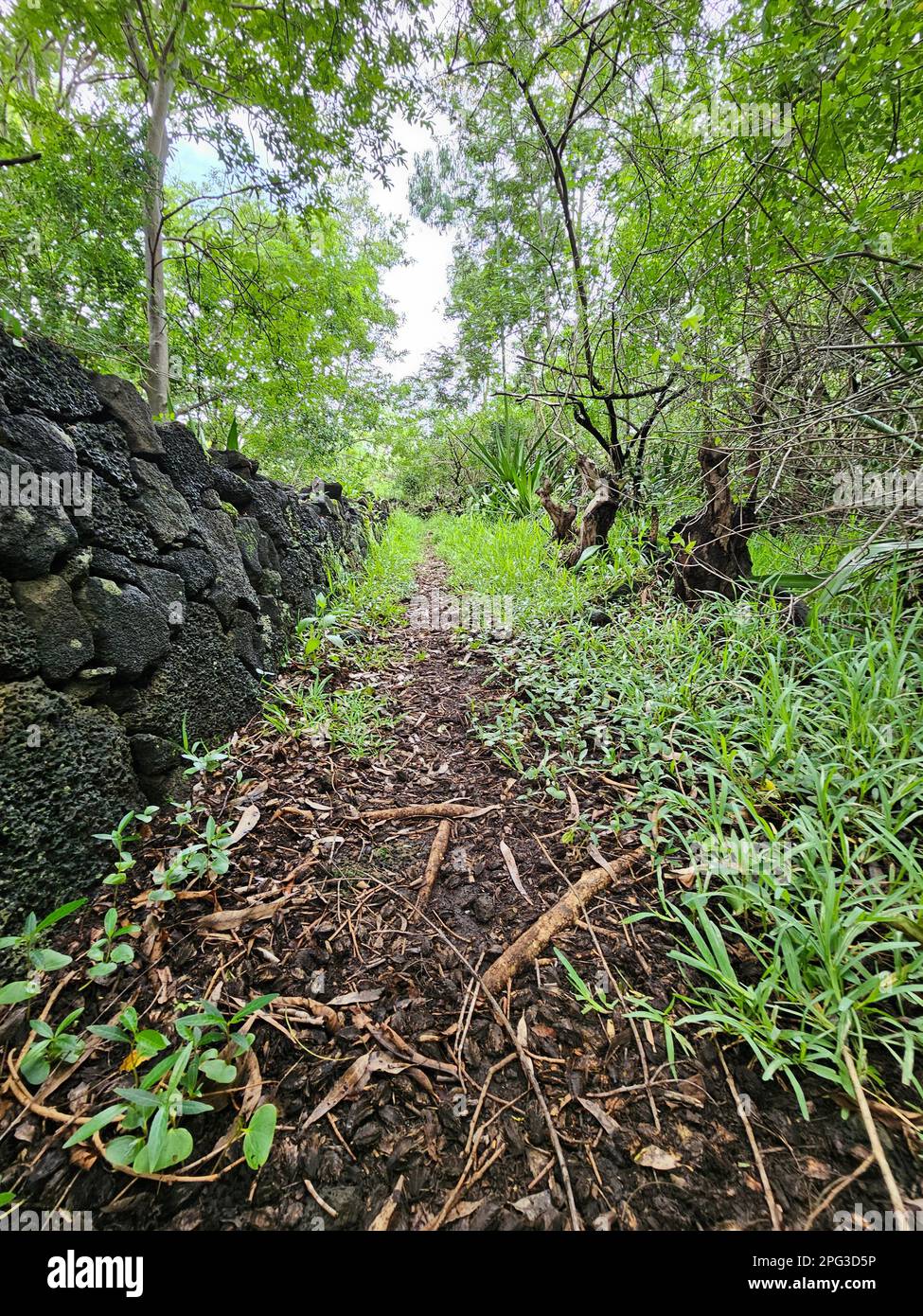 An idyllic dirt pathway winds through a tranquil landscape featuring ...