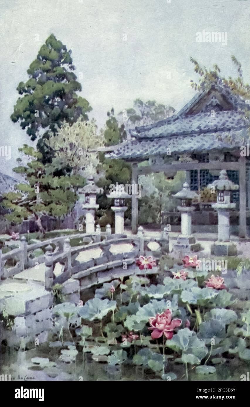 Lotus at Kyomidzu painted by Ella Du Cane from the book ' The flowers ...