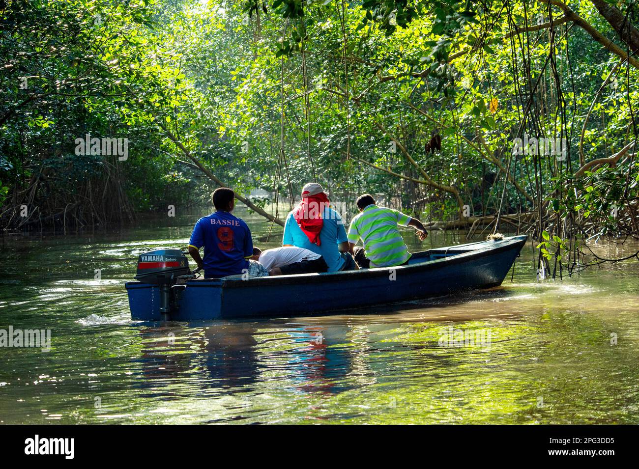 Caroni Swamp Cayak Tours, Trinidad, Republic of Trinidad and Tobago ...