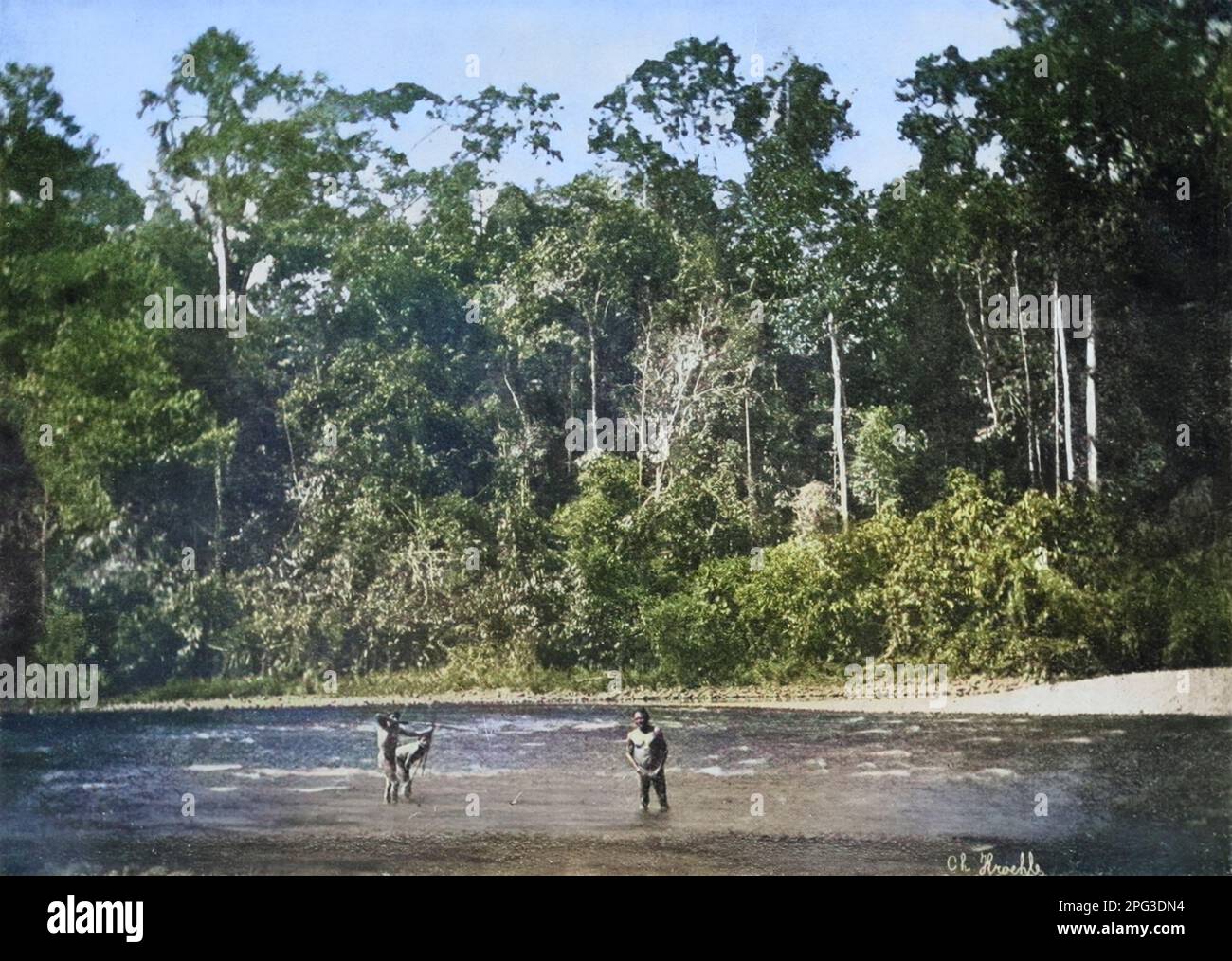 Anti-suyu Forest from the book ' The Incas of Peru ' BY SIR CLEMENTS ...