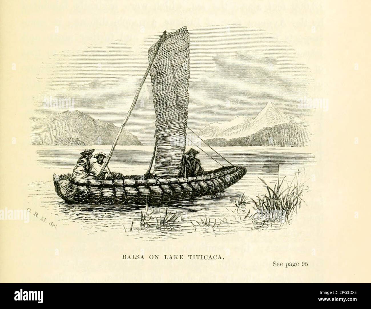 Balsa tree hi-res stock photography and images - Alamy