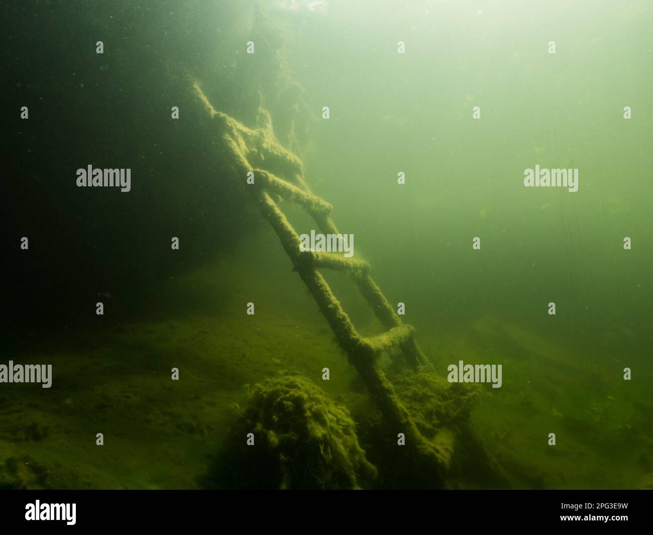 Underwater ladder in forest lake Stock Photo - Alamy