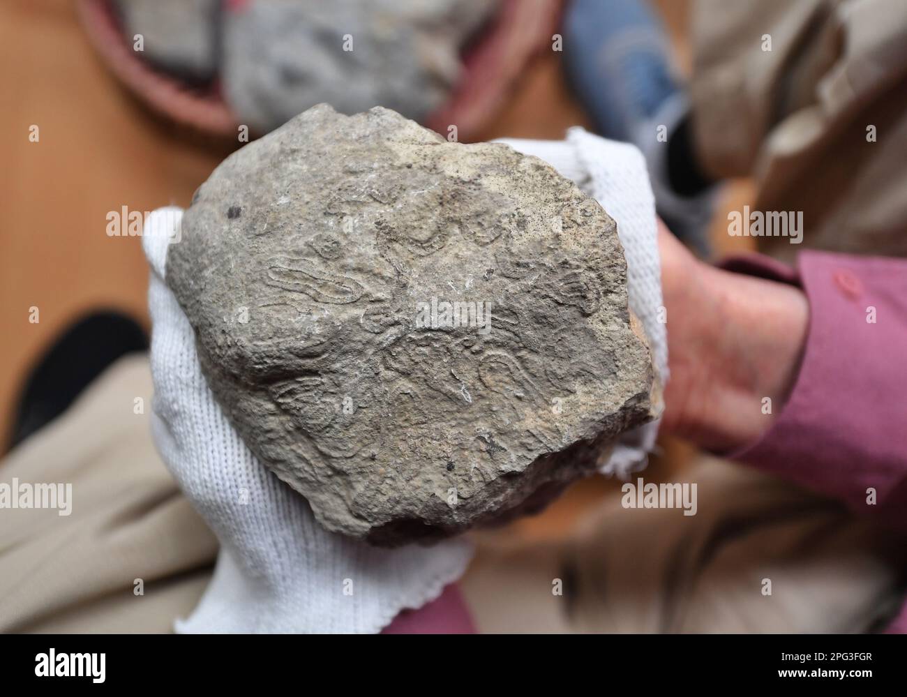 (230320) -- CHENGDU, March 20, 2023 (Xinhua) -- This photo taken on ...
