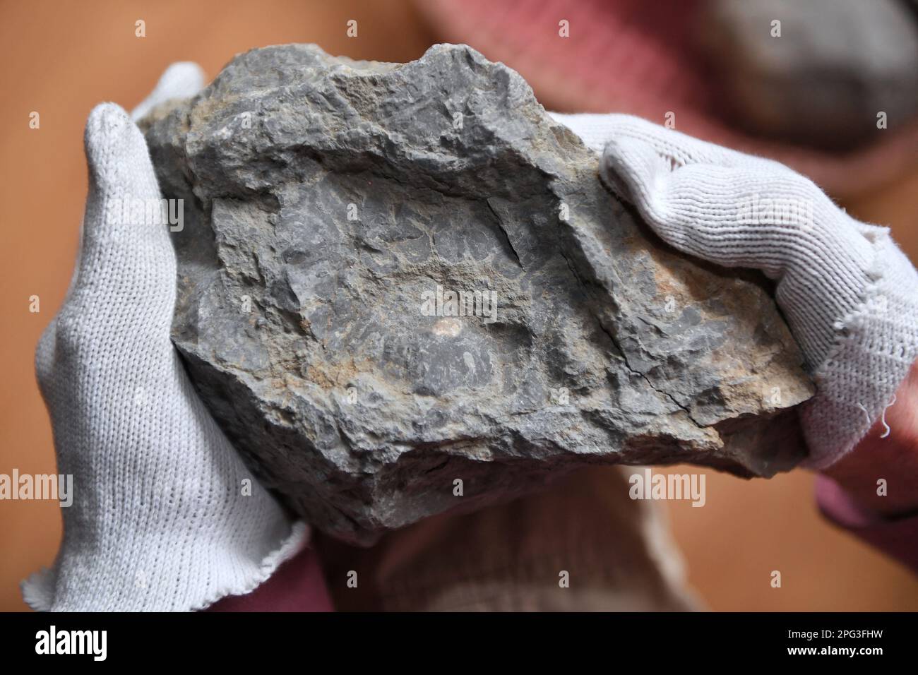 (230320) -- CHENGDU, March 20, 2023 (Xinhua) -- This photo taken on ...