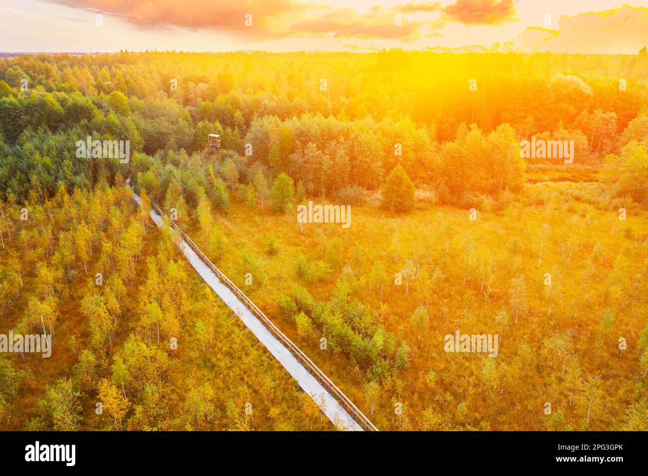 Amazing Scenic Aerial Bright Sunbeams View Of Nature Reserve Swamp ...