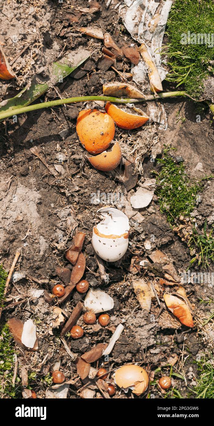 Compost From Spilled Food Waste On Ground, Humus, Manure. Rotting ...