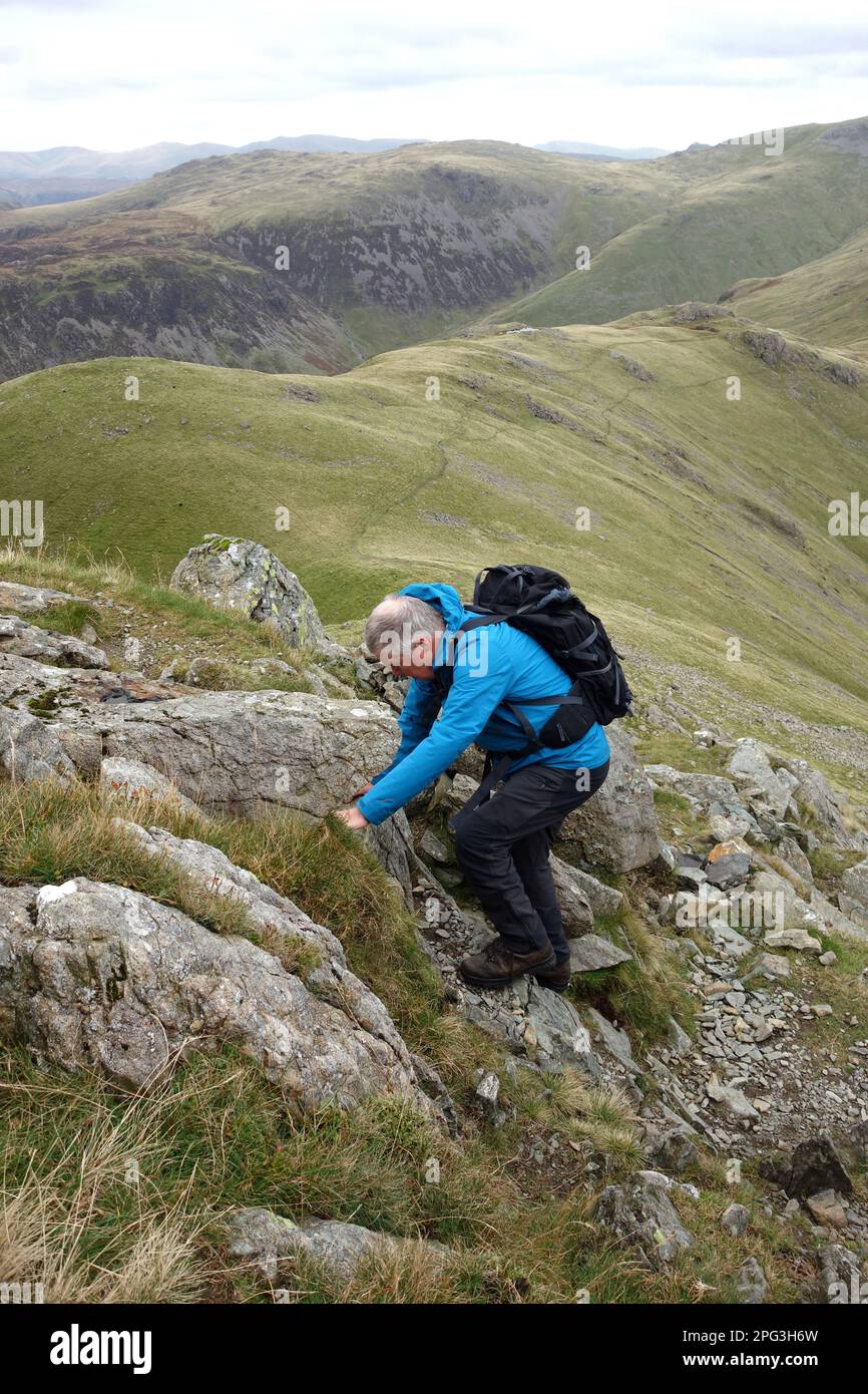 Man (Hiker) Climbing Crags to the Wainwright 'Pillar' 'above the Ridge ...