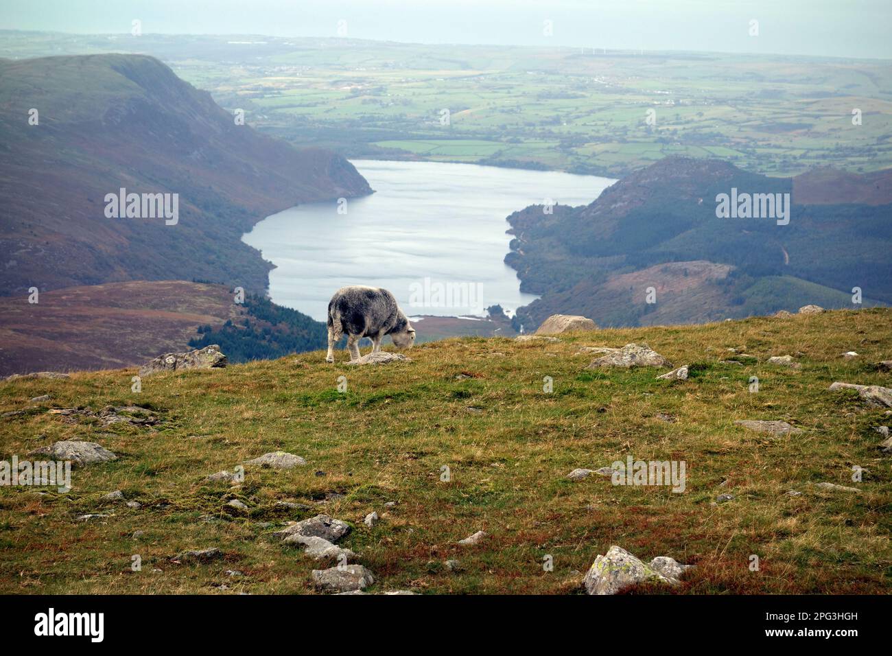Pillar lake district hi-res stock photography and images - Alamy