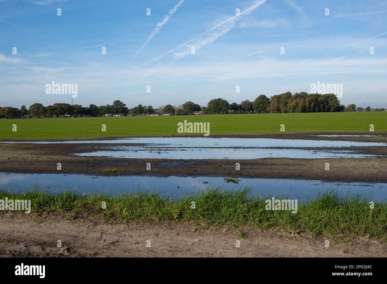A scenic outdoor scene featuring a large expanse of muddy puddles ...