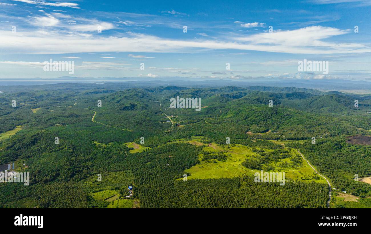 The island of Borneo is covered with rainforest and jungle. Tropical ...