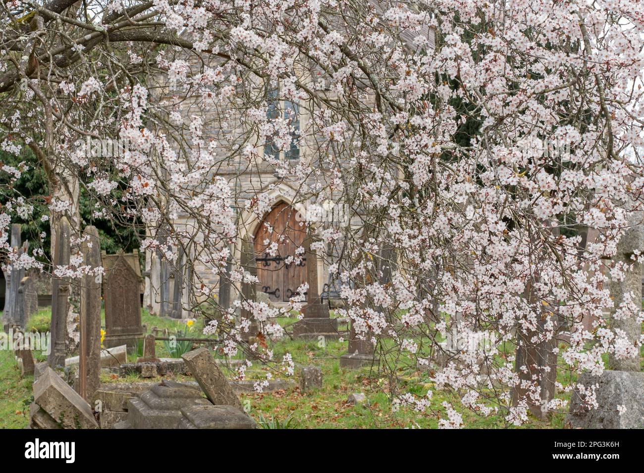 Southampton old cemtery hi-res stock photography and images - Alamy