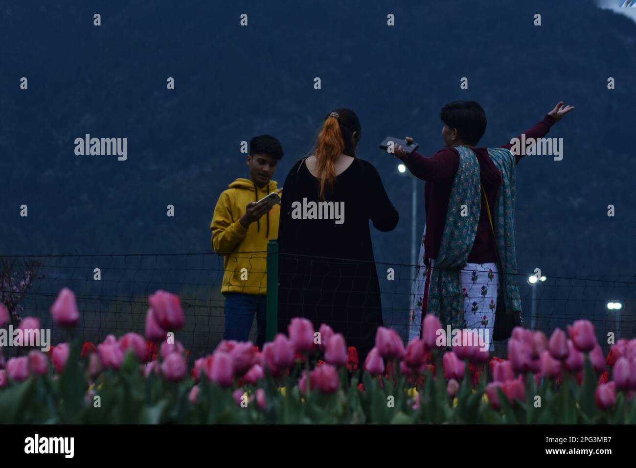 Srinagar, India. 19th Mar, 2023. People taking pictures during the ...