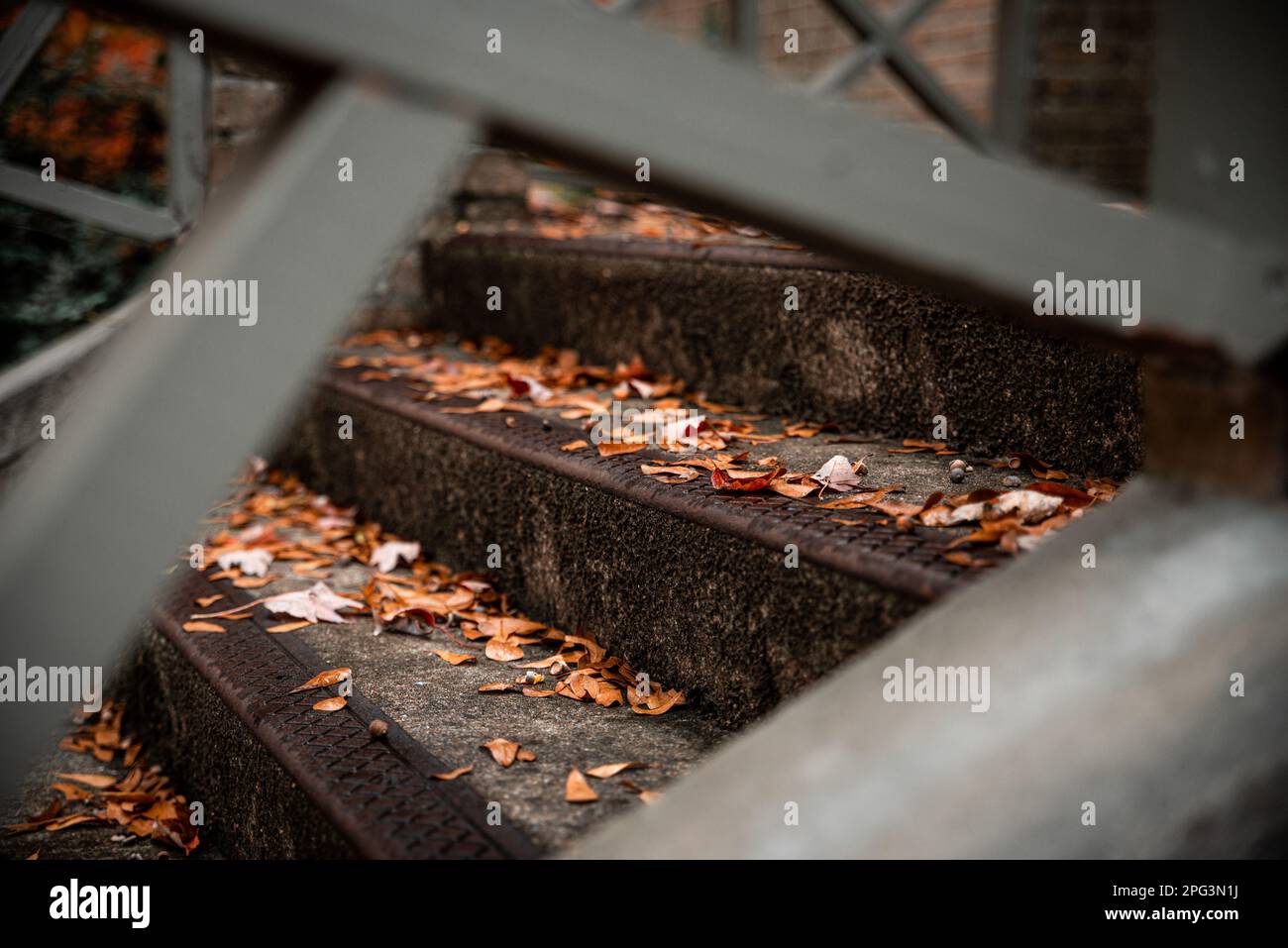 Selective focus shot stairs hi-res stock photography and images - Alamy