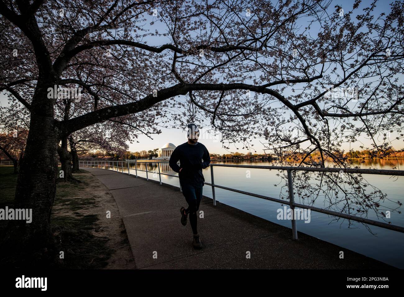 Washington, United States. 20th Mar, 2023. A man runs along the Tidal ...