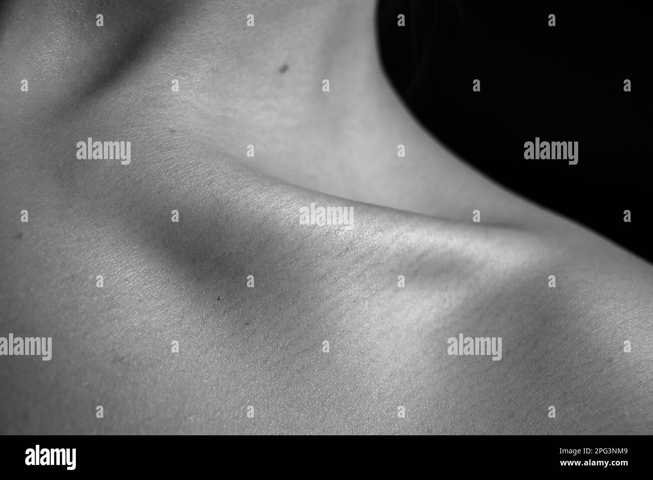 A high-resolution closeup shot of the neck and shoulders of a female ...