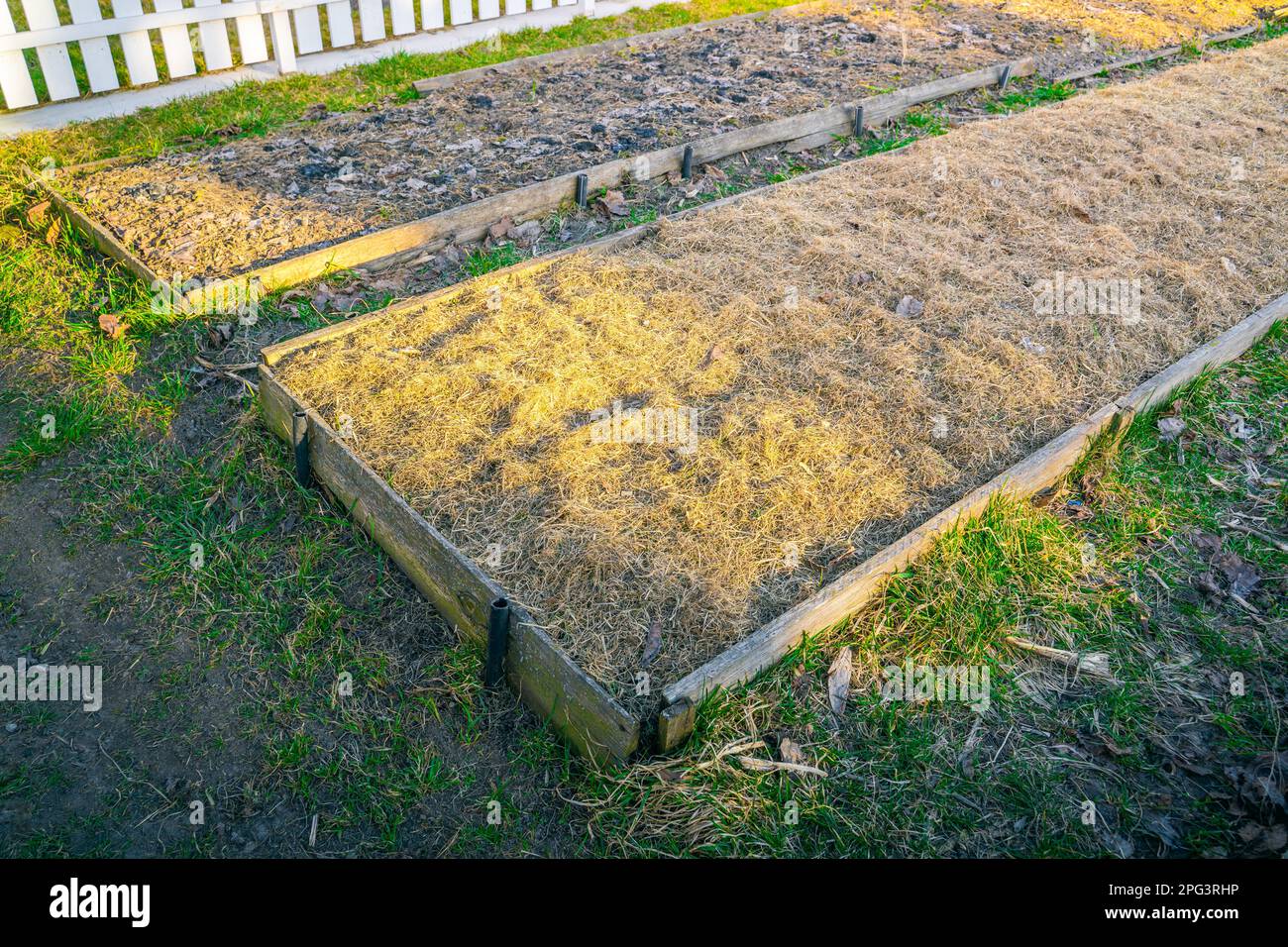 Garden beds are covered with dry grass in spring. Mulching the garden ...