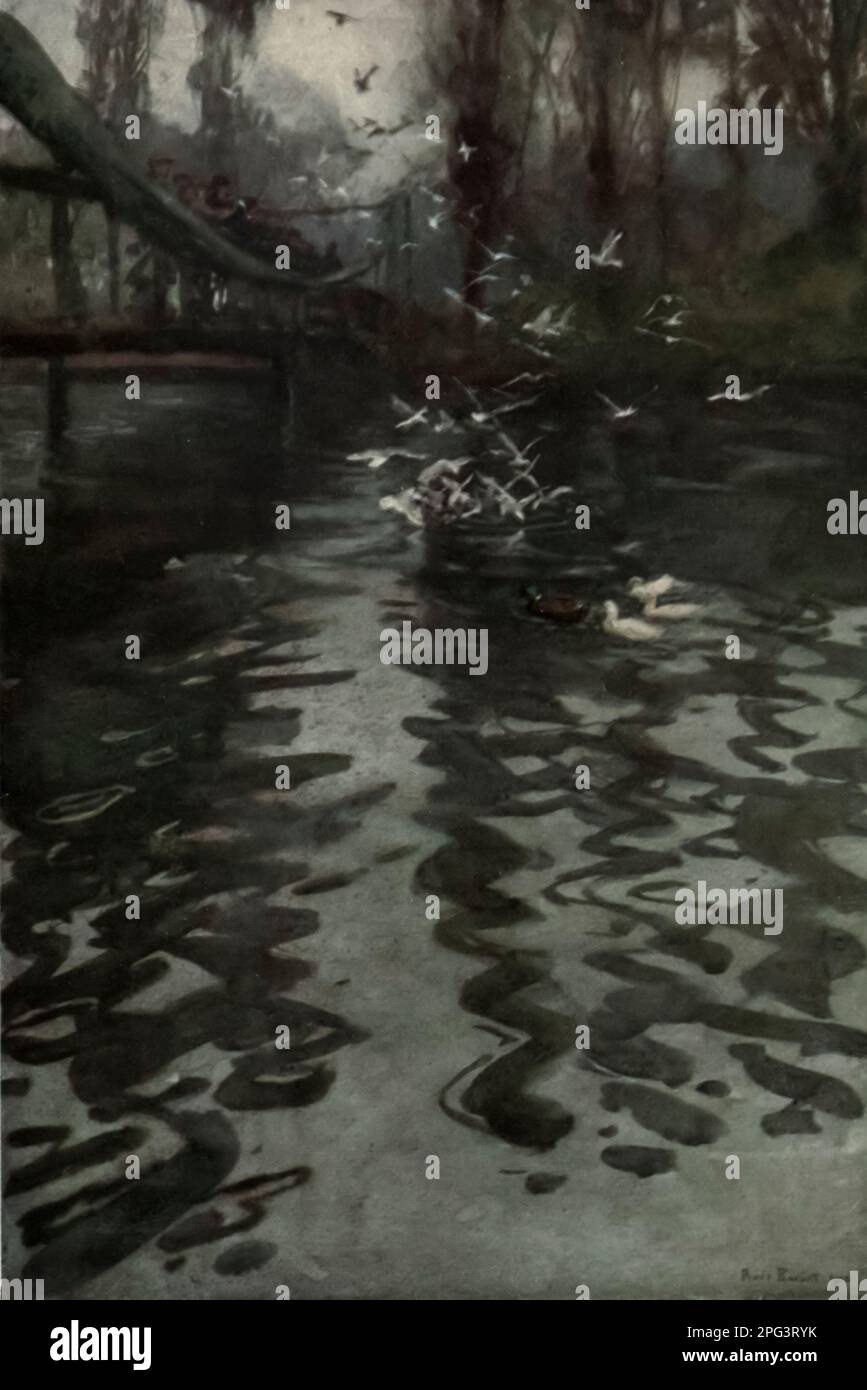 Feeding the Gulls from the Bridge in St James's Park watercolour ...