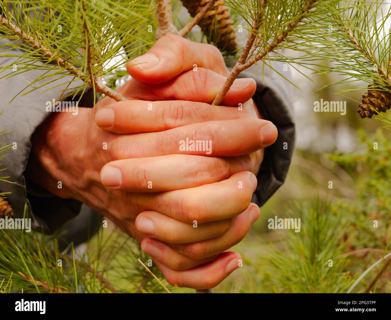 Prayer nature hi-res stock photography and images - Alamy