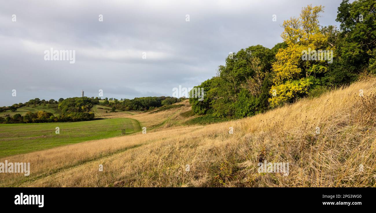 The parkland landscape of Purdown hill in north Bristol Stock Photo - Alamy