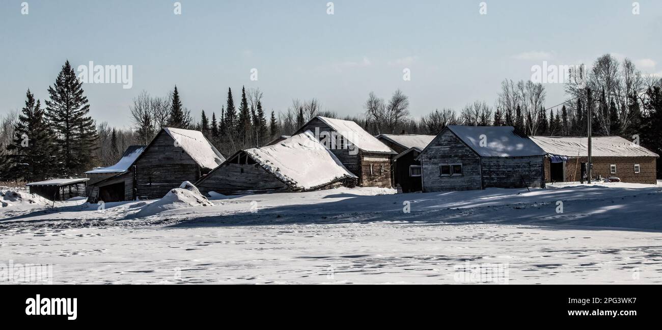 Row of abandoned buildings across a snowy field at Sax-Zim Bog Nature ...