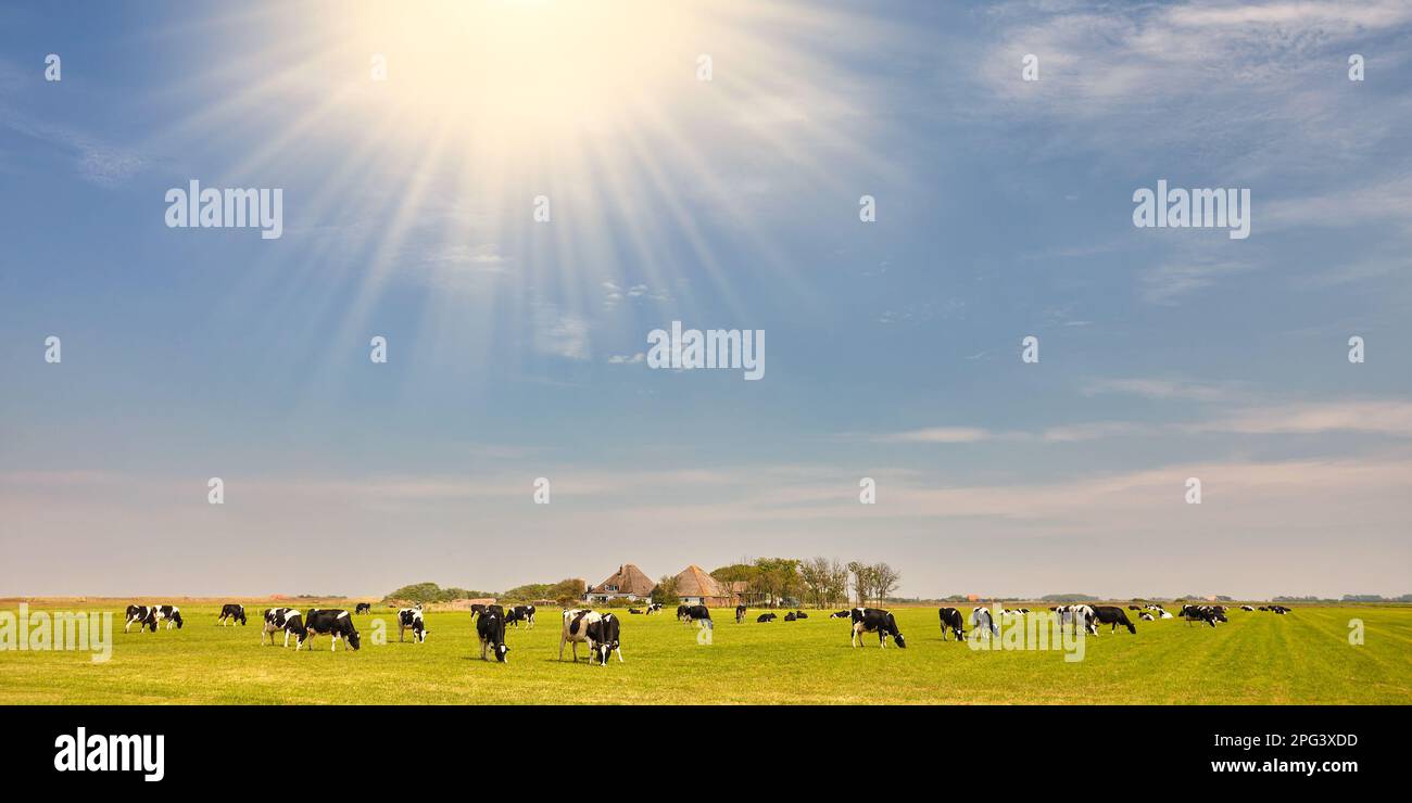 Farm sunlight landscape hi-res stock photography and images - Alamy