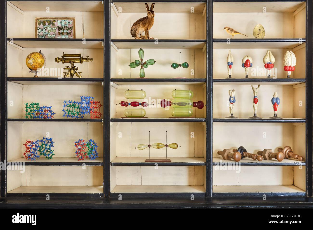 Vintage wooden cabinet filled with antique science objects Stock Photo ...