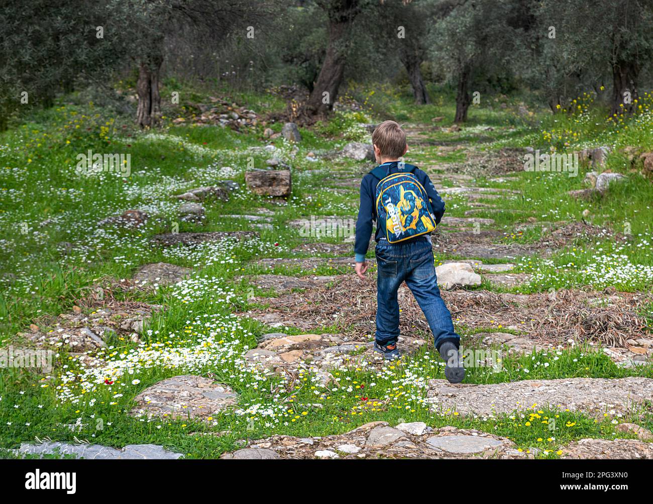 spring has come, children are walking freely in nature Stock Photo - Alamy