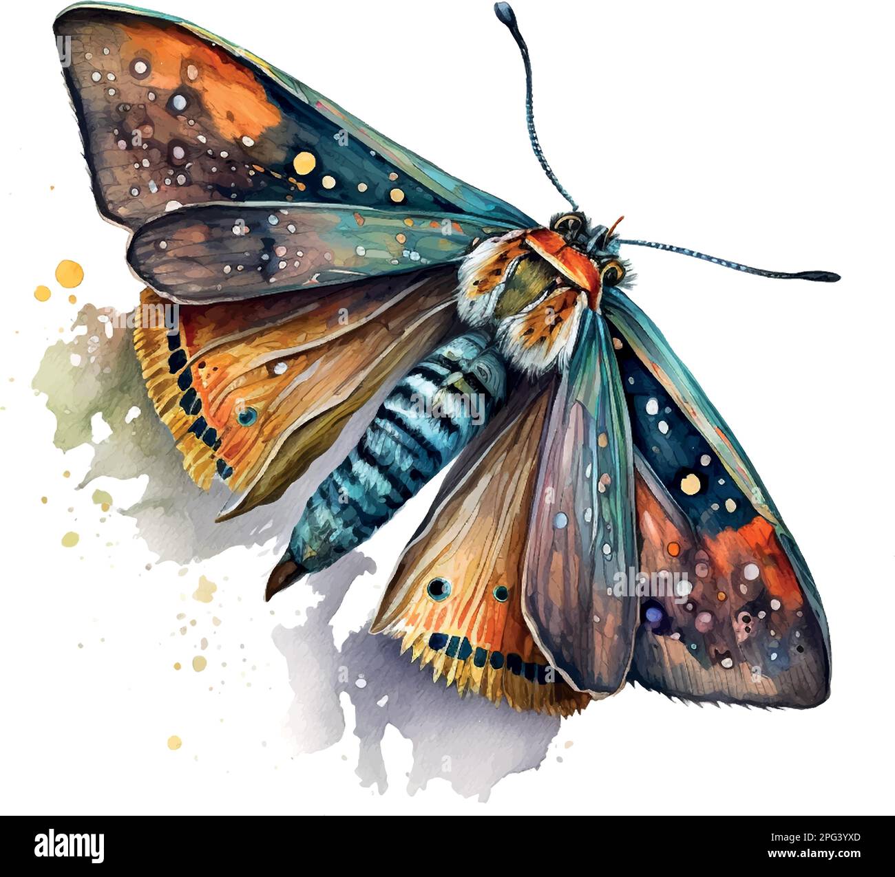 Moth illustration Watercolor Hand drawn butterfly logo design Stock ...