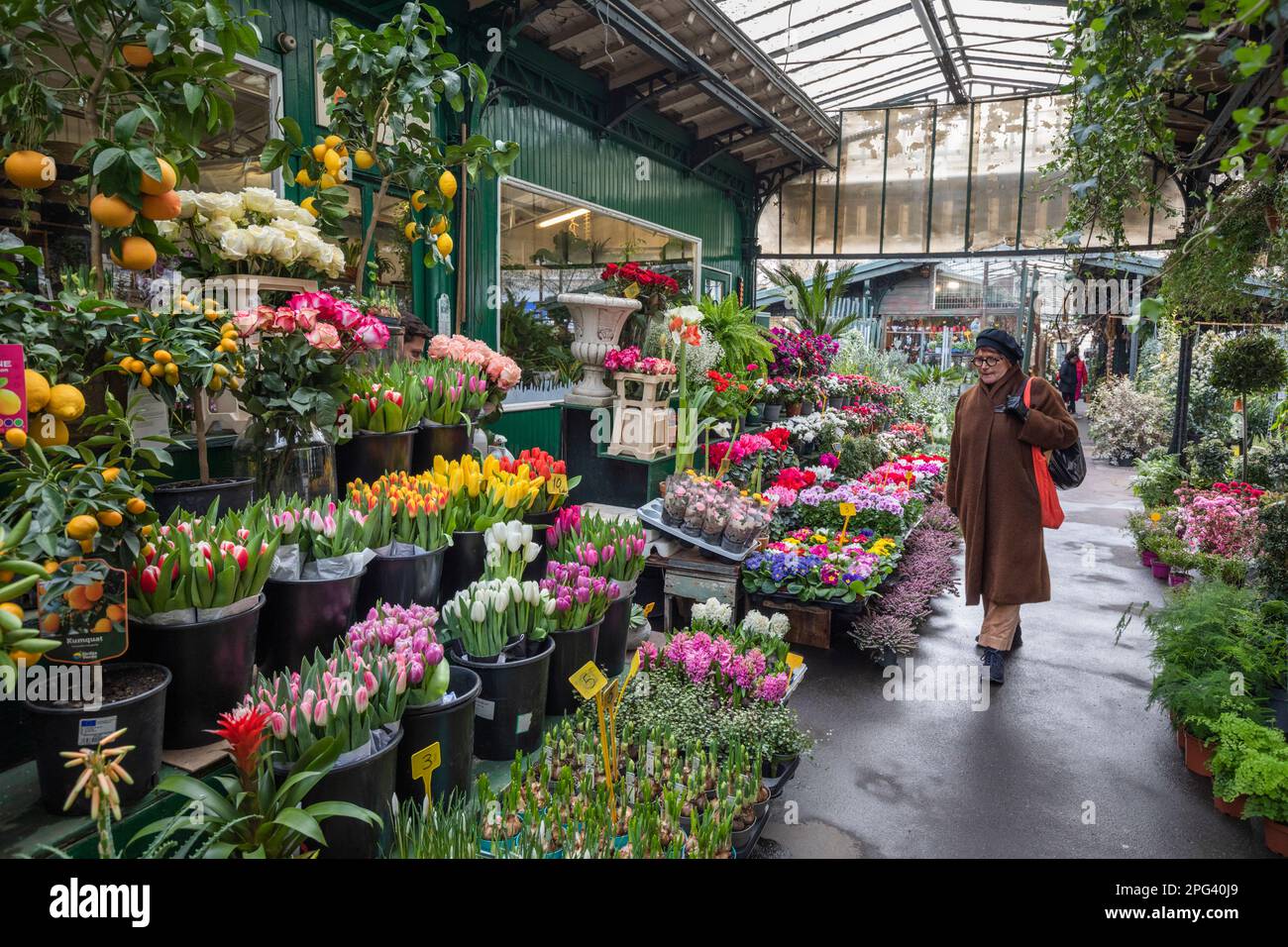 Europe european french france ile de france capital paris city hi-res ...