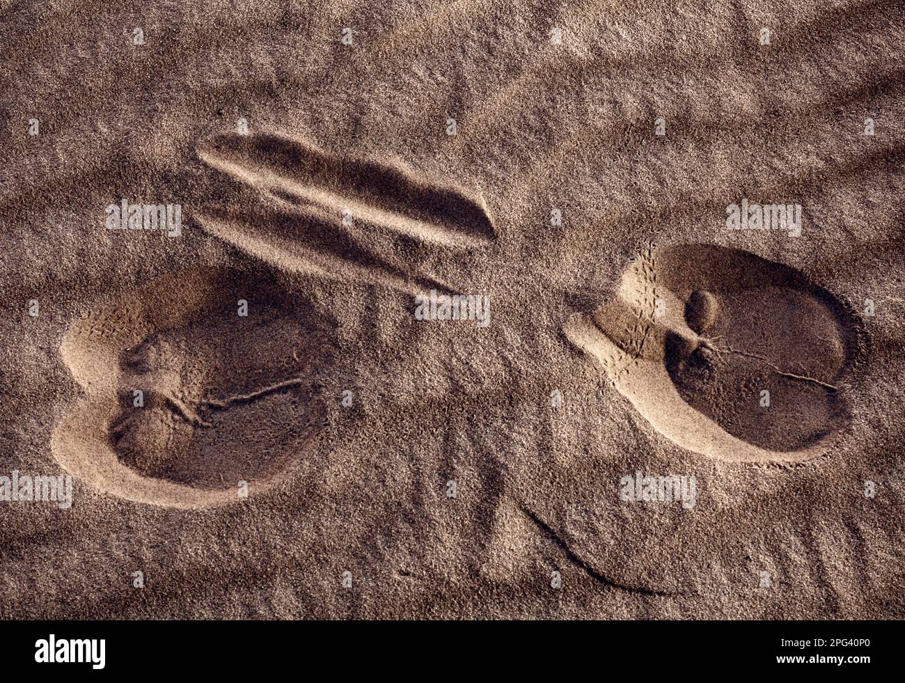 Camel tracks in the sanddunes of Erg Chebbi area of Sahara Desert near ...