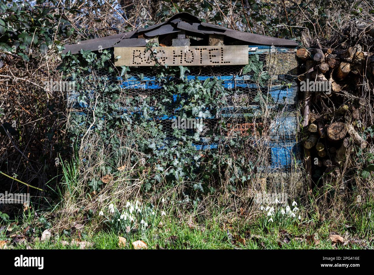 A DIY "bug hotel" made from a stack of pallets and other reused waste ...