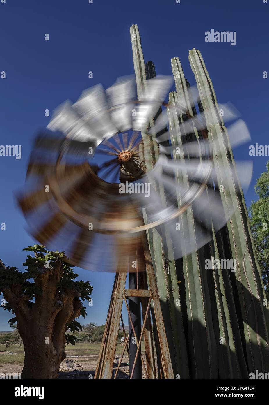 A small turning windmill stands in front of a cactus at Conny's ...