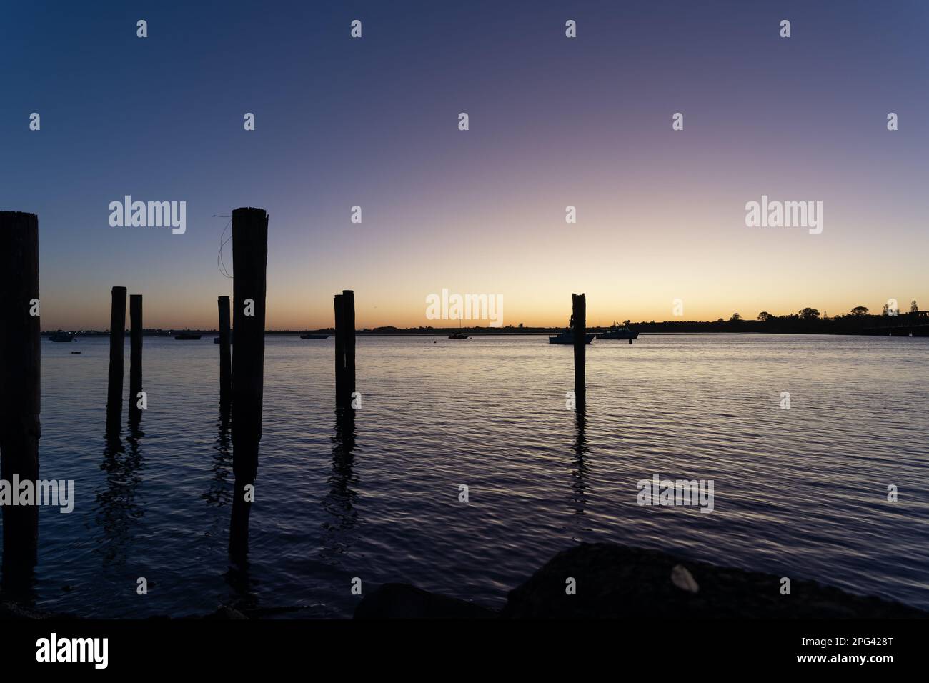 Old mooring posts in Tauranga harbour in pre-dawn light Stock Photo - Alamy