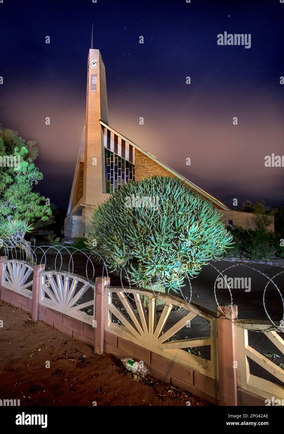 a Quiver tree stands behind a pre-cast cement wall in the grounds of ...