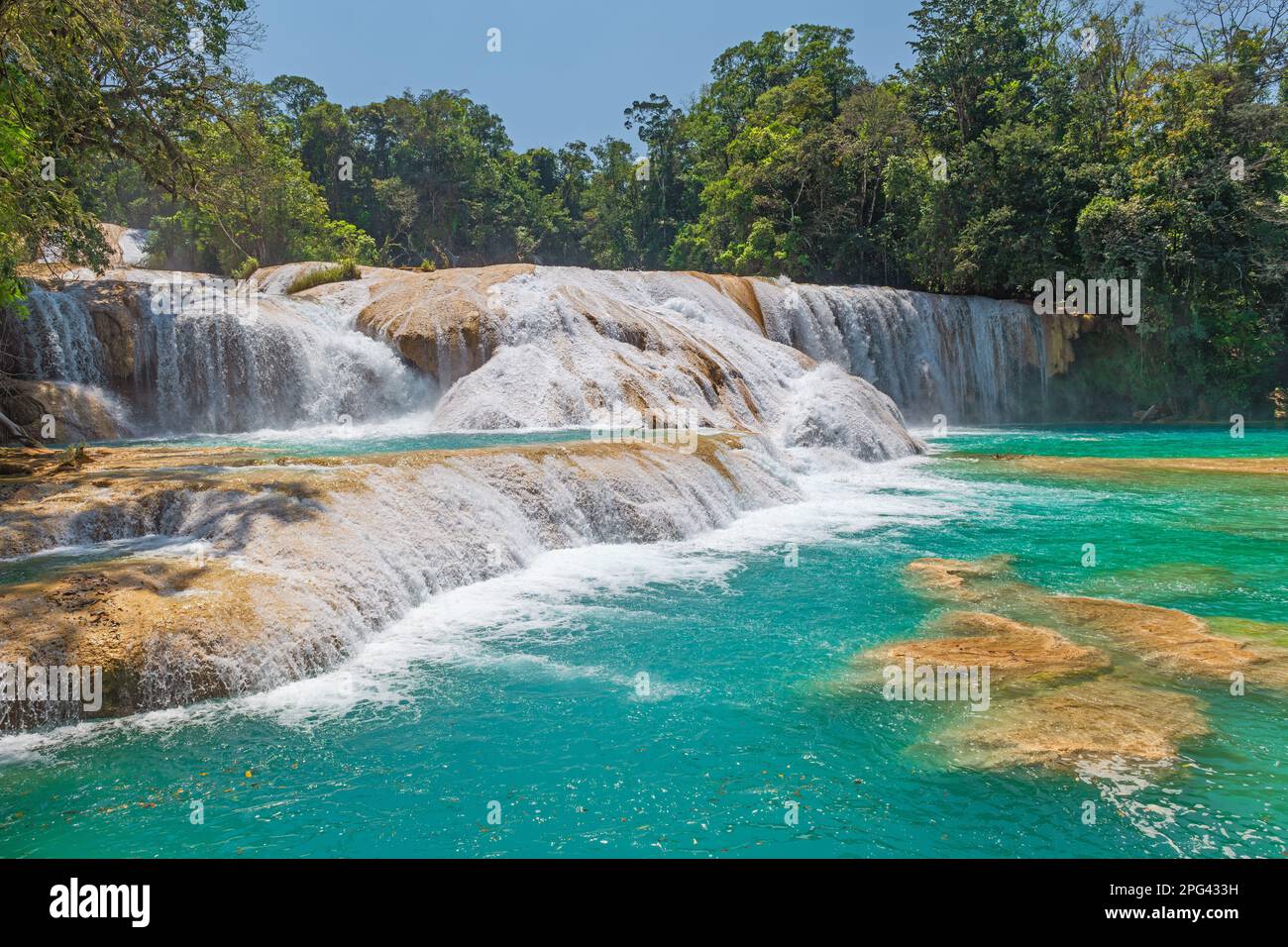 Agua Azul turquoise waterfall and cascade with tropical rainforest ...